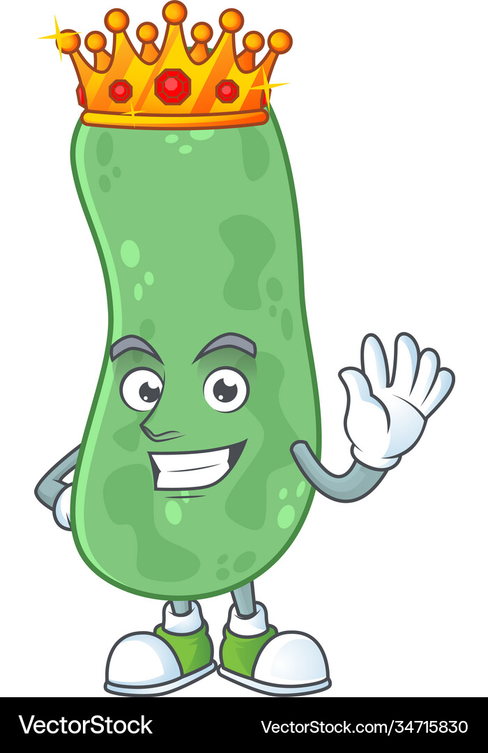 Charismatic king enterobacteriaceae cartoon Vector Image