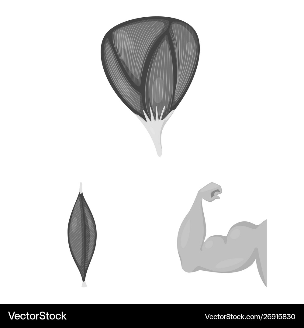 Human and body symbol Royalty Free Vector Image