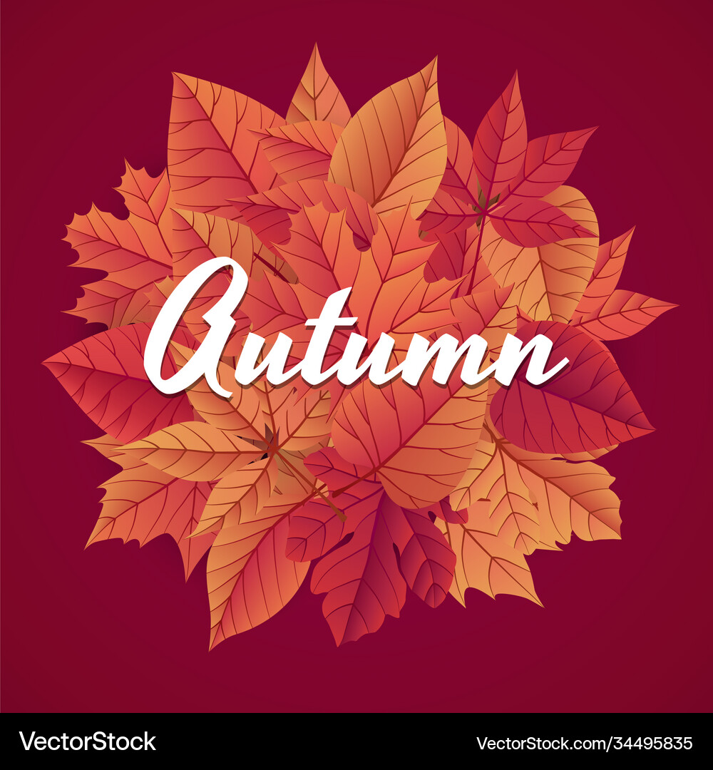 Autumn modern background template with lettering Vector Image