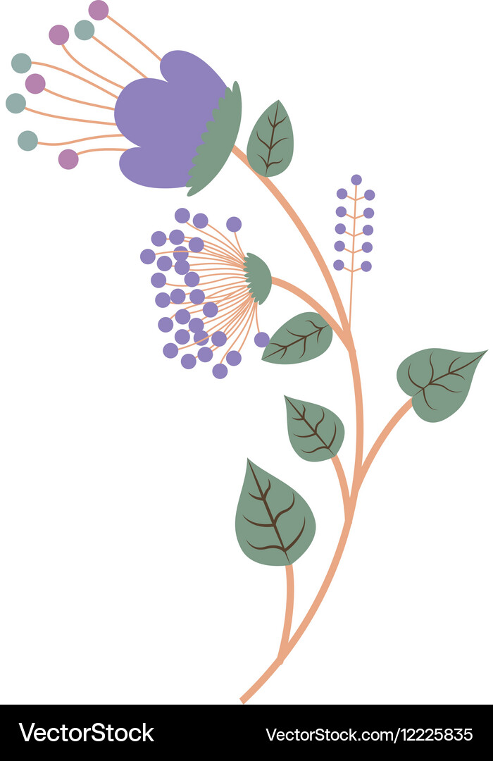 Isolated flower decoration design Royalty Free Vector Image