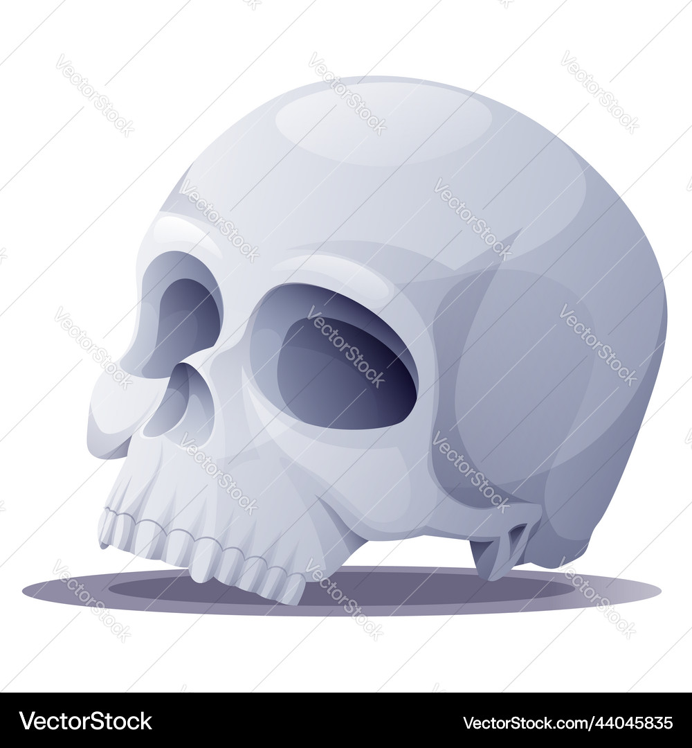 Skull on a white background cartoon Royalty Free Vector