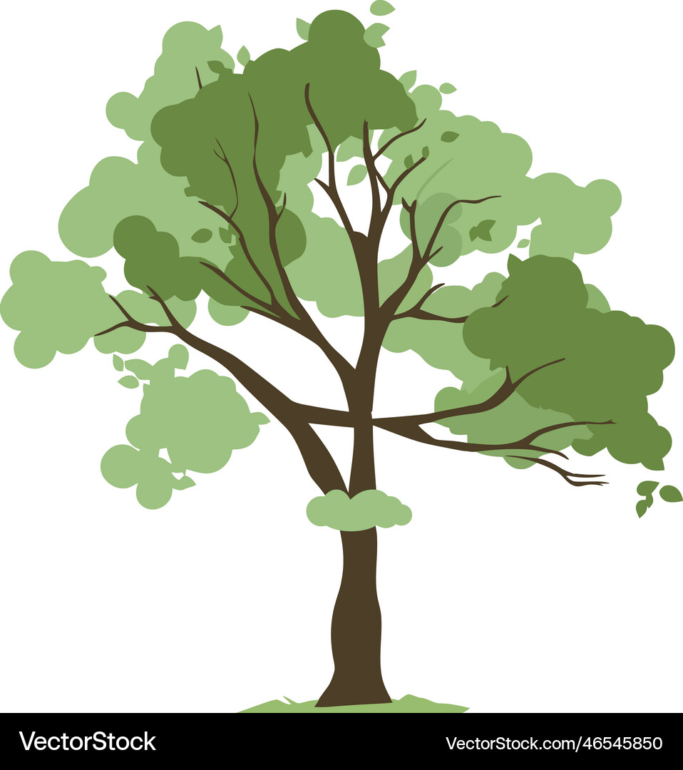 Nature growth is symbolized in tree silhouette Vector Image