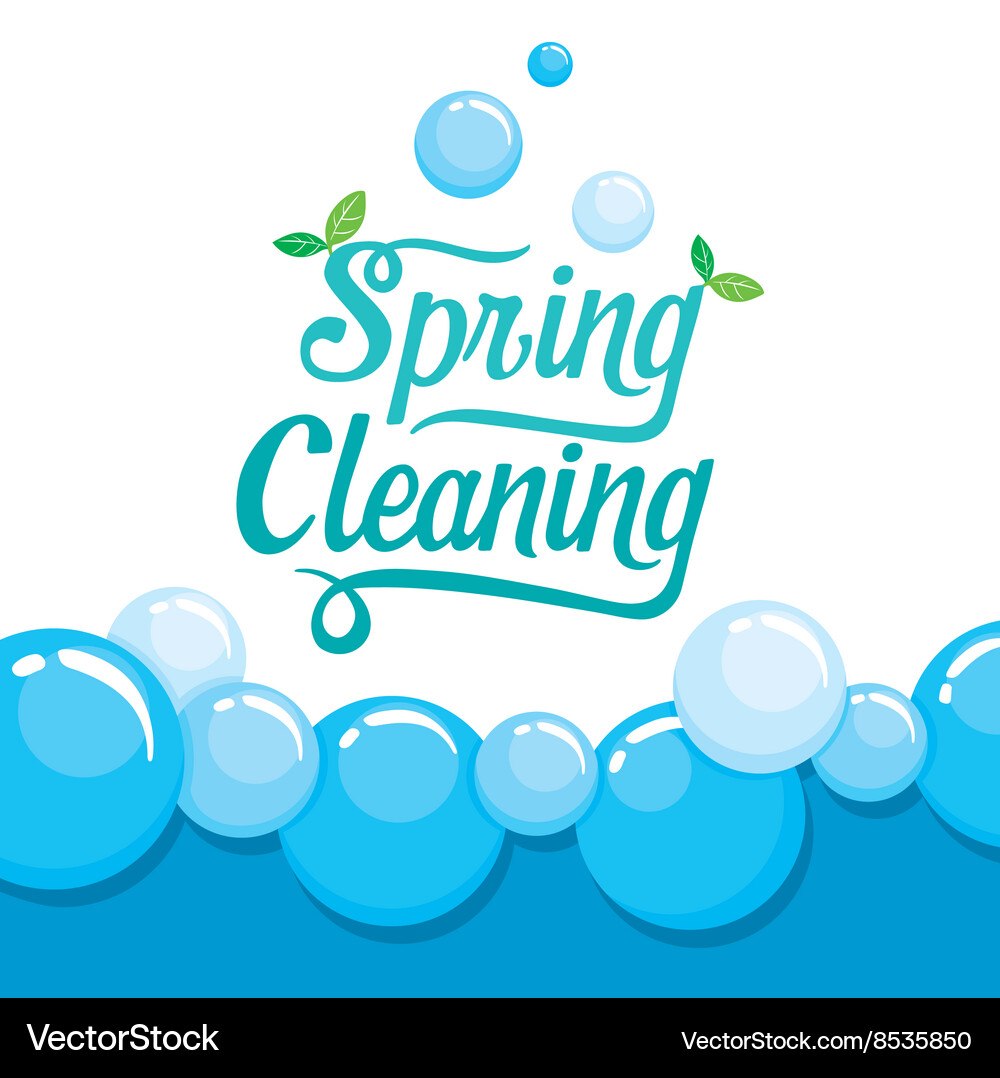 Spring cleaning letter decorating and foam Vector Image