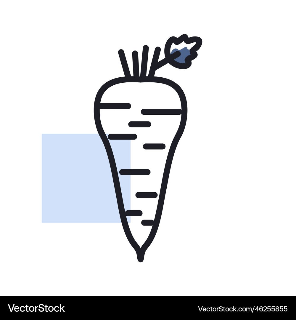 Parsnip root isolated icon vegetable sign Vector Image