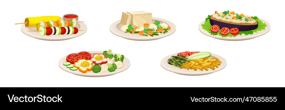 Vegan dish and main course with vegetables served Vector Image