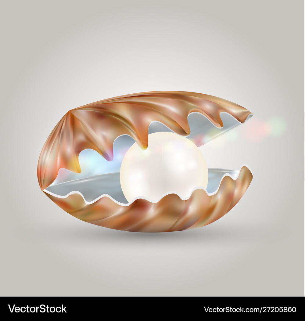 Bright pearl in a opened sea shell Royalty Free Vector Image