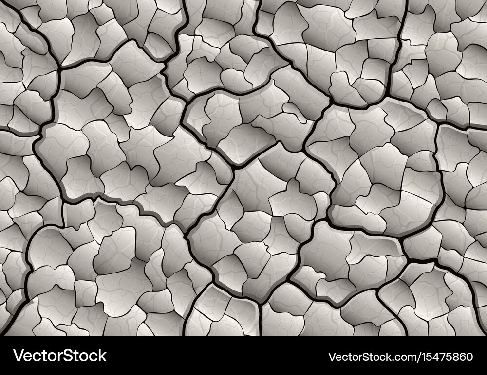 Decorative plaster with mixed petals and drawing Vector Image