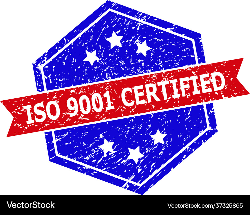 Hexagon bicolor iso 9001 certified rubber stamp Vector Image