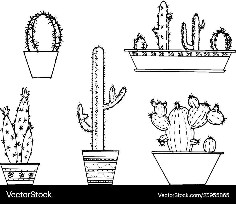 Set of hand drawn cactus sketch Royalty Free Vector Image