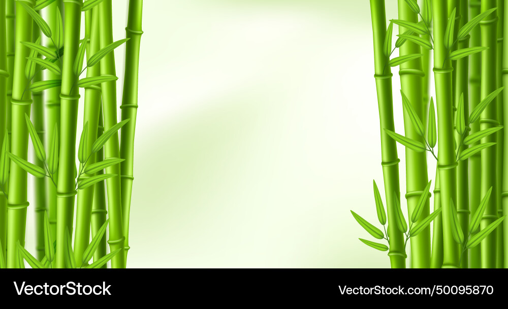 Bamboo frame green banner framing with bamboo Vector Image