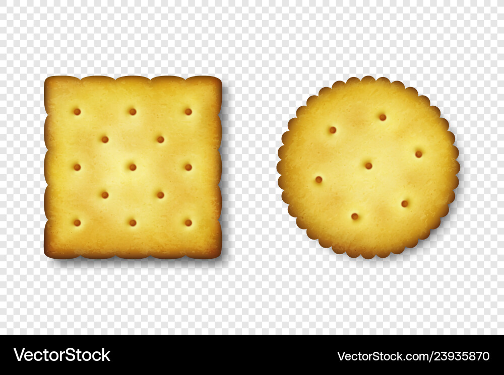 Realistic 3d round and square delicious Royalty Free Vector