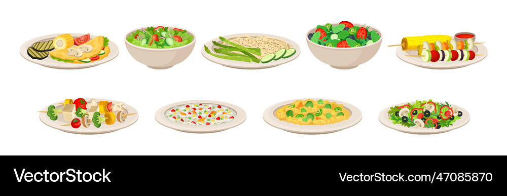 Vegan dish and main course with vegetables served Vector Image