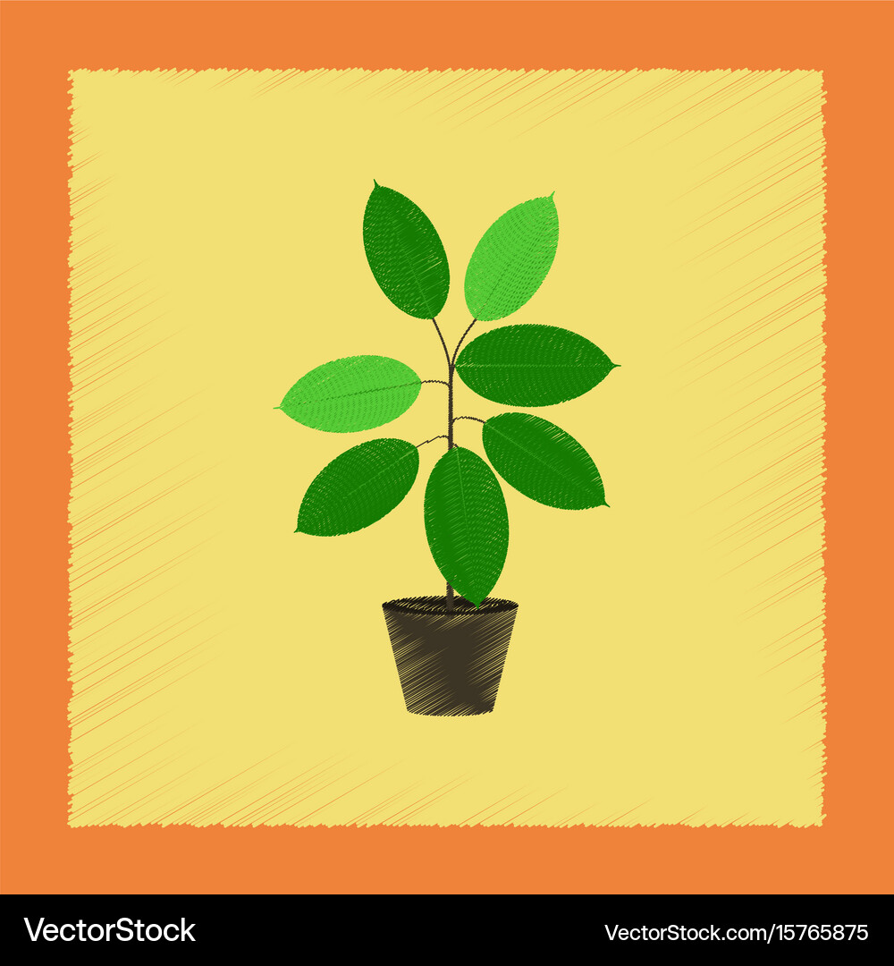 Flat shading style plant ficus Royalty Free Vector Image