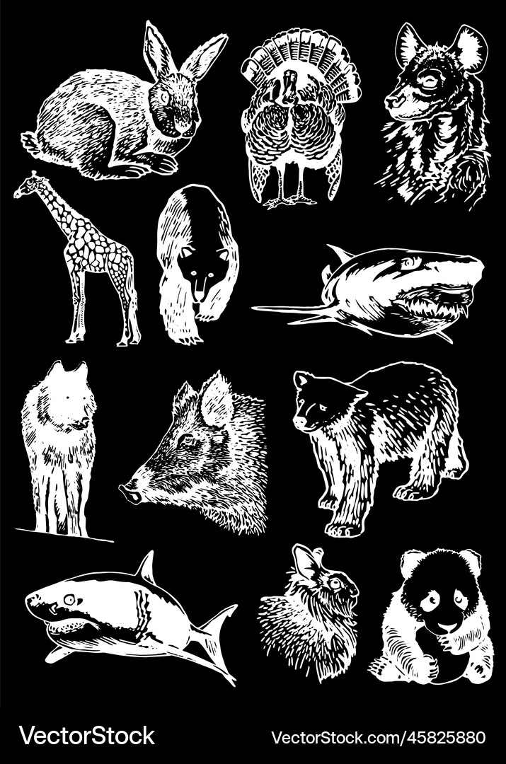 Graphical set of animals isolated on black Vector Image