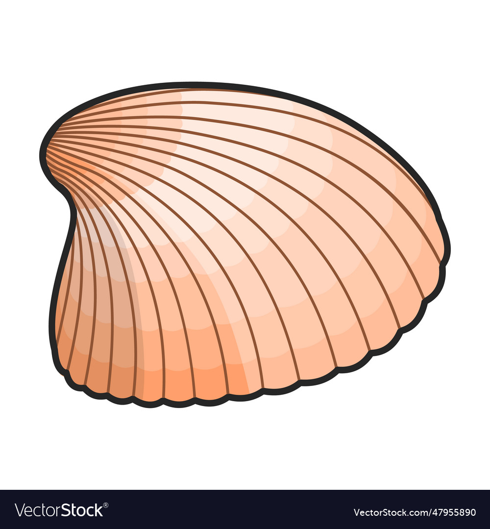 Shell sea color icon Royalty Free Vector Image