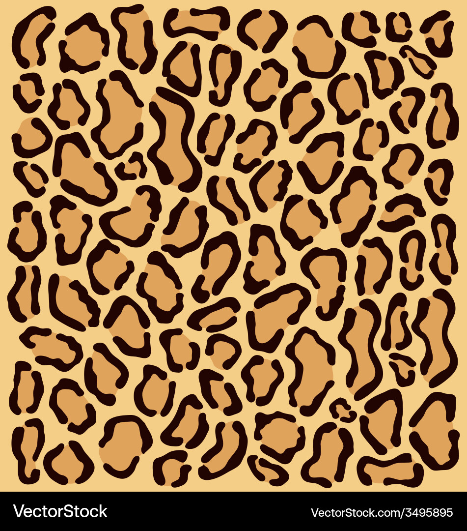 Skin of leopard Royalty Free Vector Image - VectorStock