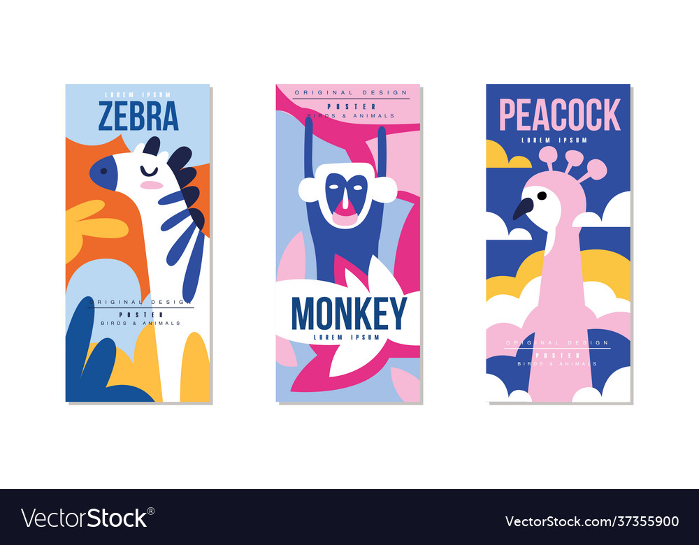 Animals and birds colorful posters set zebra Vector Image
