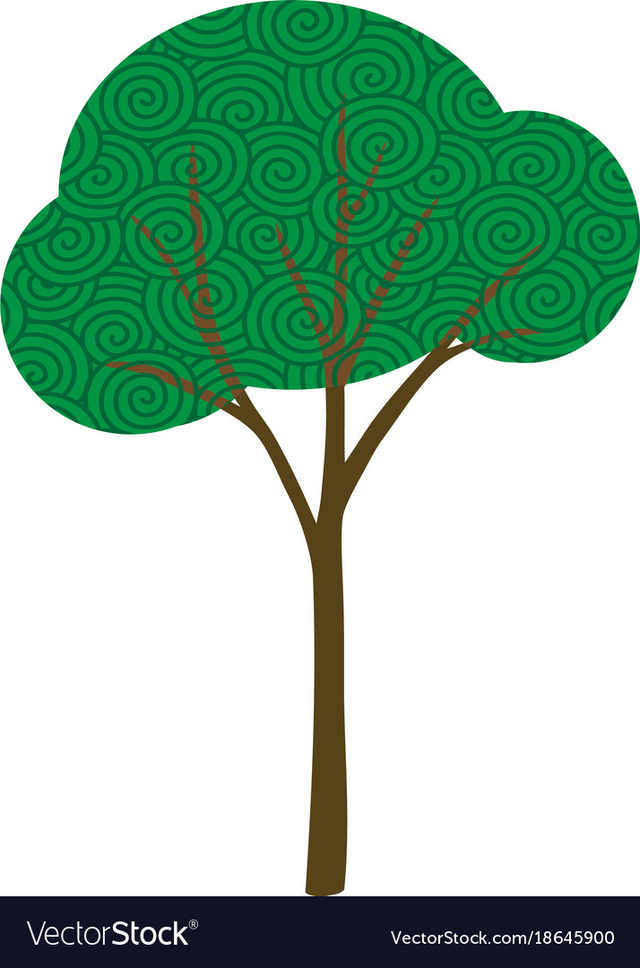 Swirl pattern tree Royalty Free Vector Image - VectorStock