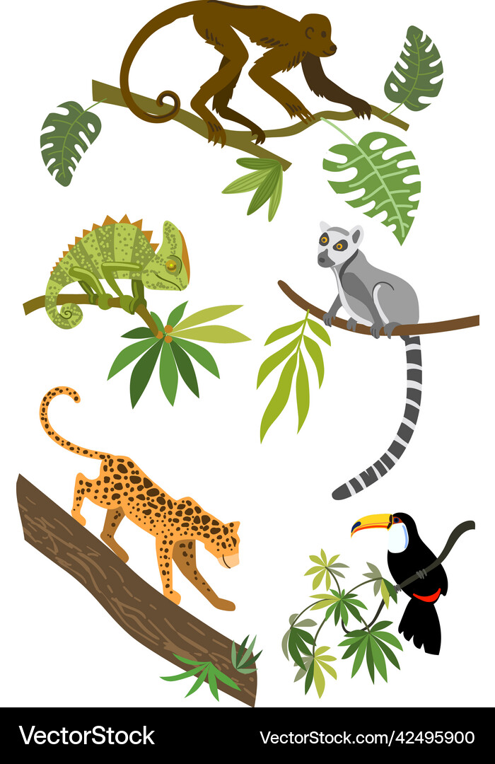 Tropical animals beautiful animalistic Royalty Free Vector