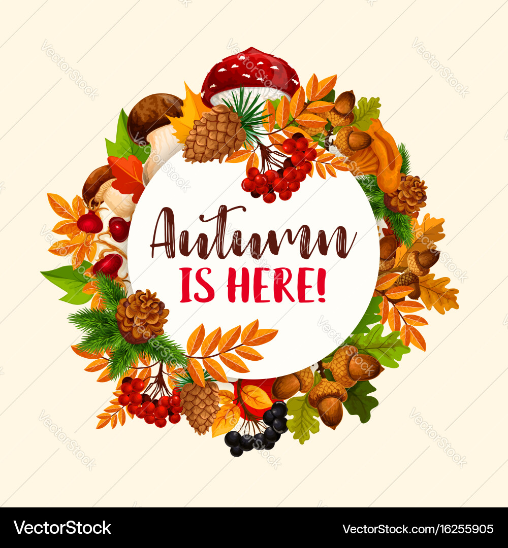 Autumn frame fallen leaf fruit mushroom Royalty Free Vector