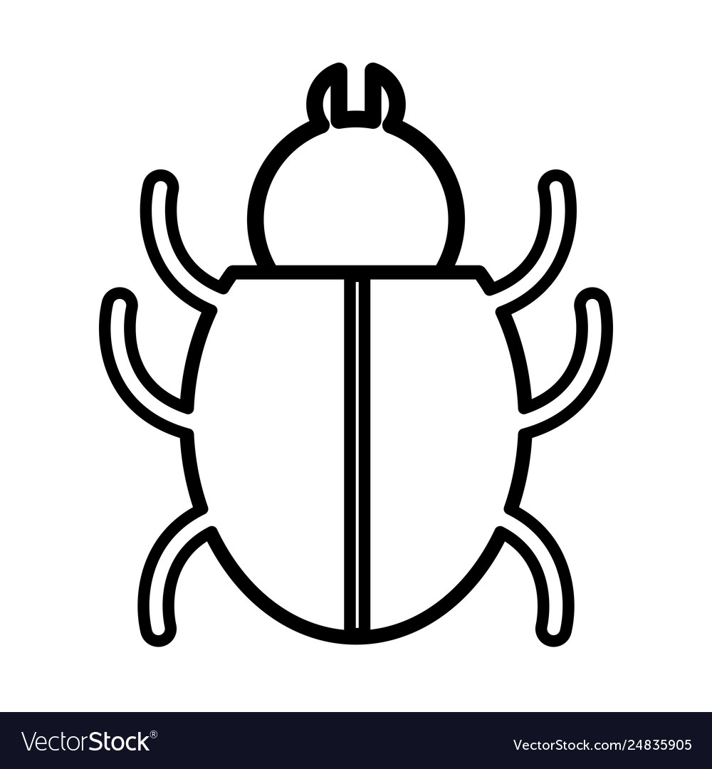 Bug insect isolated icon Royalty Free Vector Image