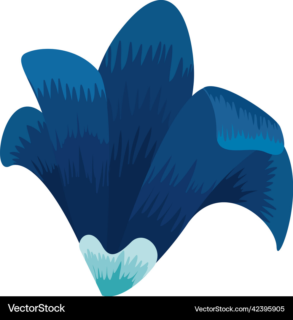Natural flower blue color Royalty Free Vector Image