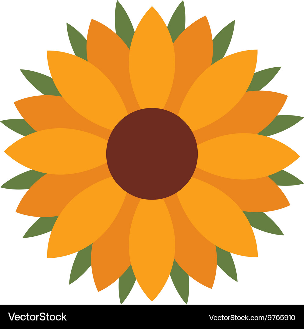 Beautiful sunflower isolated icon design Vector Image