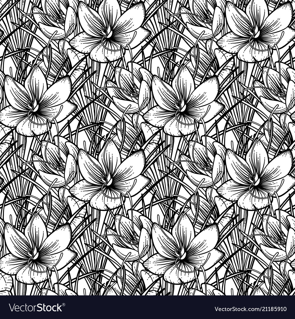 Graphic saffron pattern Royalty Free Vector Image