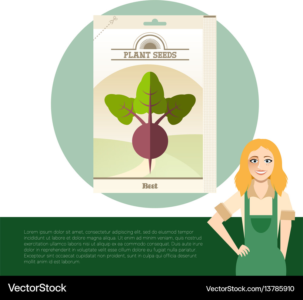 Pack beet seeds icons Royalty Free Vector Image