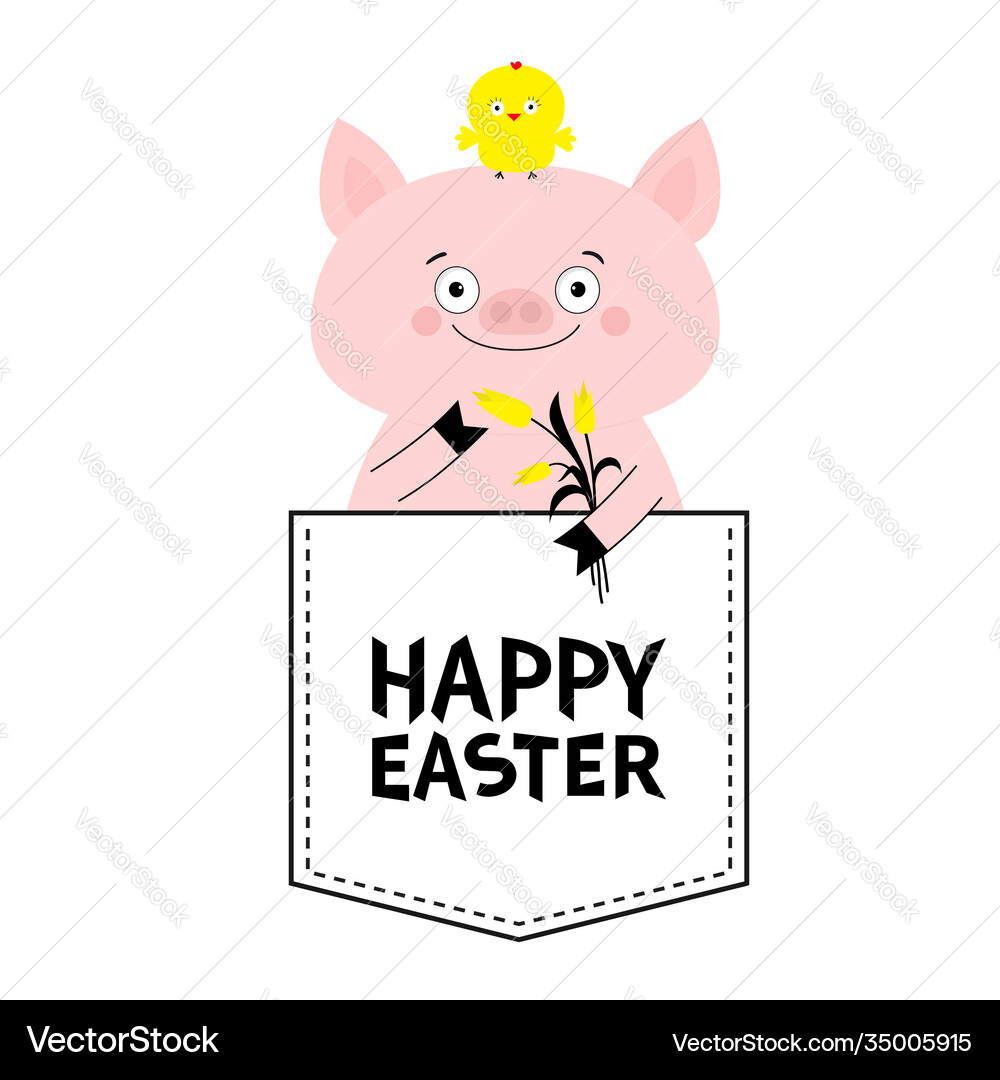 Happy easter pig face head in pocket chicken Vector Image