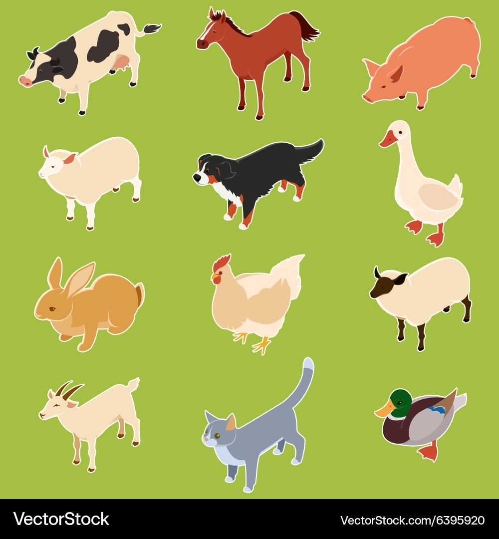 Domestic isometric animals Royalty Free Vector Image