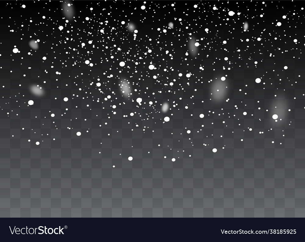Falling snow on a transparent background Vector Image