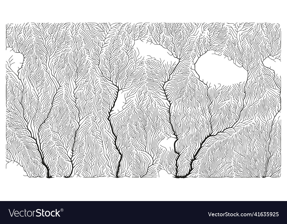 Growth Pattern Generative Branching Structure Vector Image