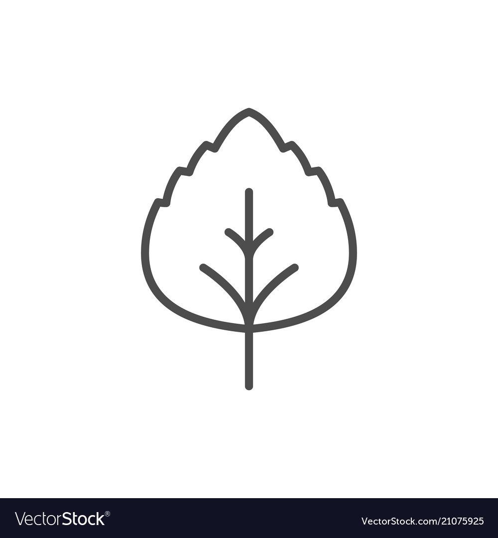 Leaf line icon Royalty Free Vector Image - VectorStock