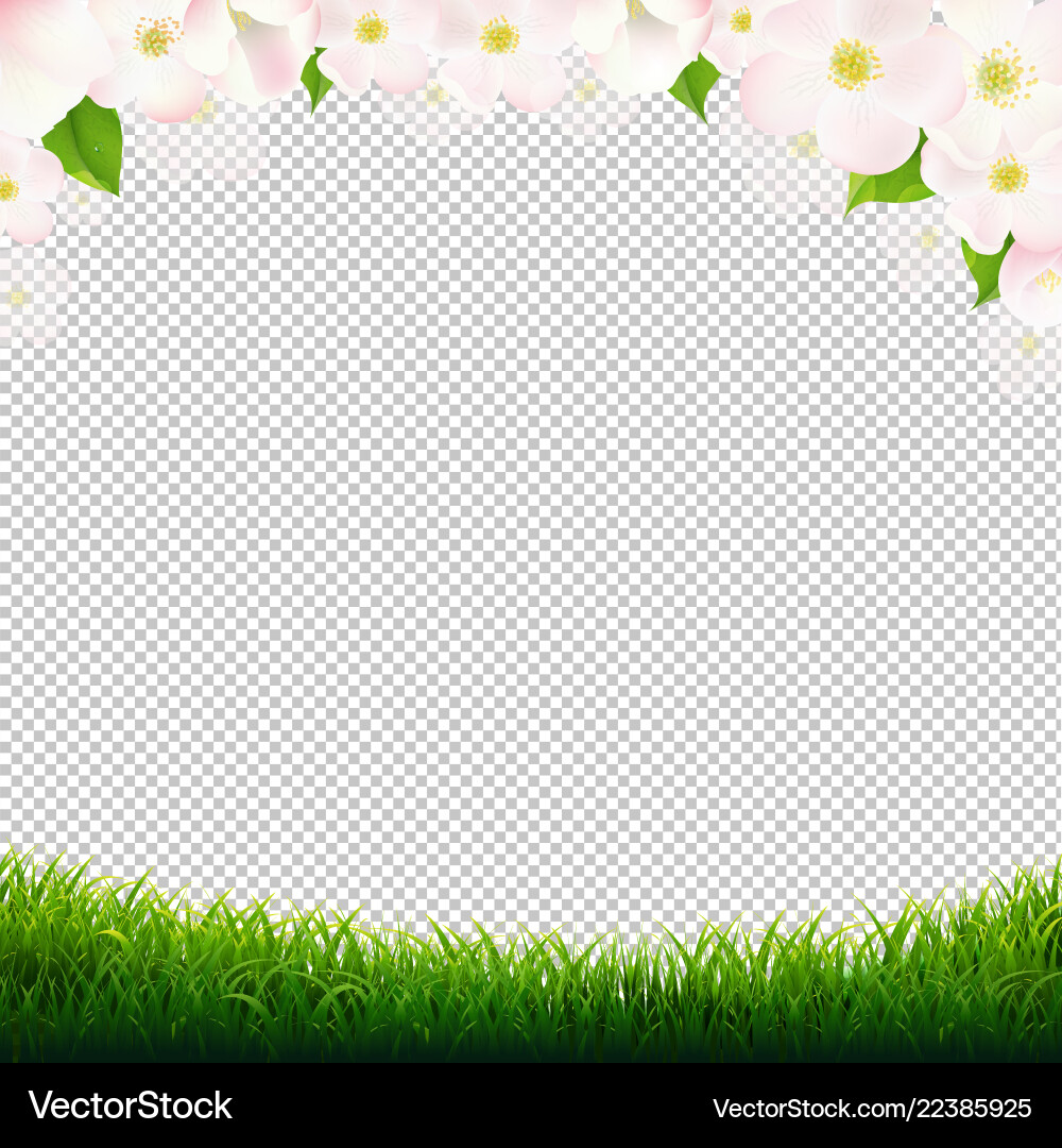 Spring poster with flowers and transparent Vector Image