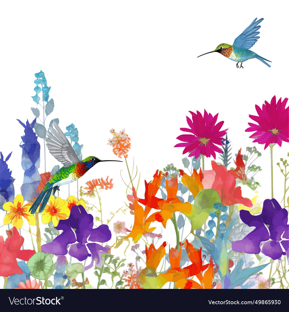 Flying hummingbirds with flowers Royalty Free Vector Image