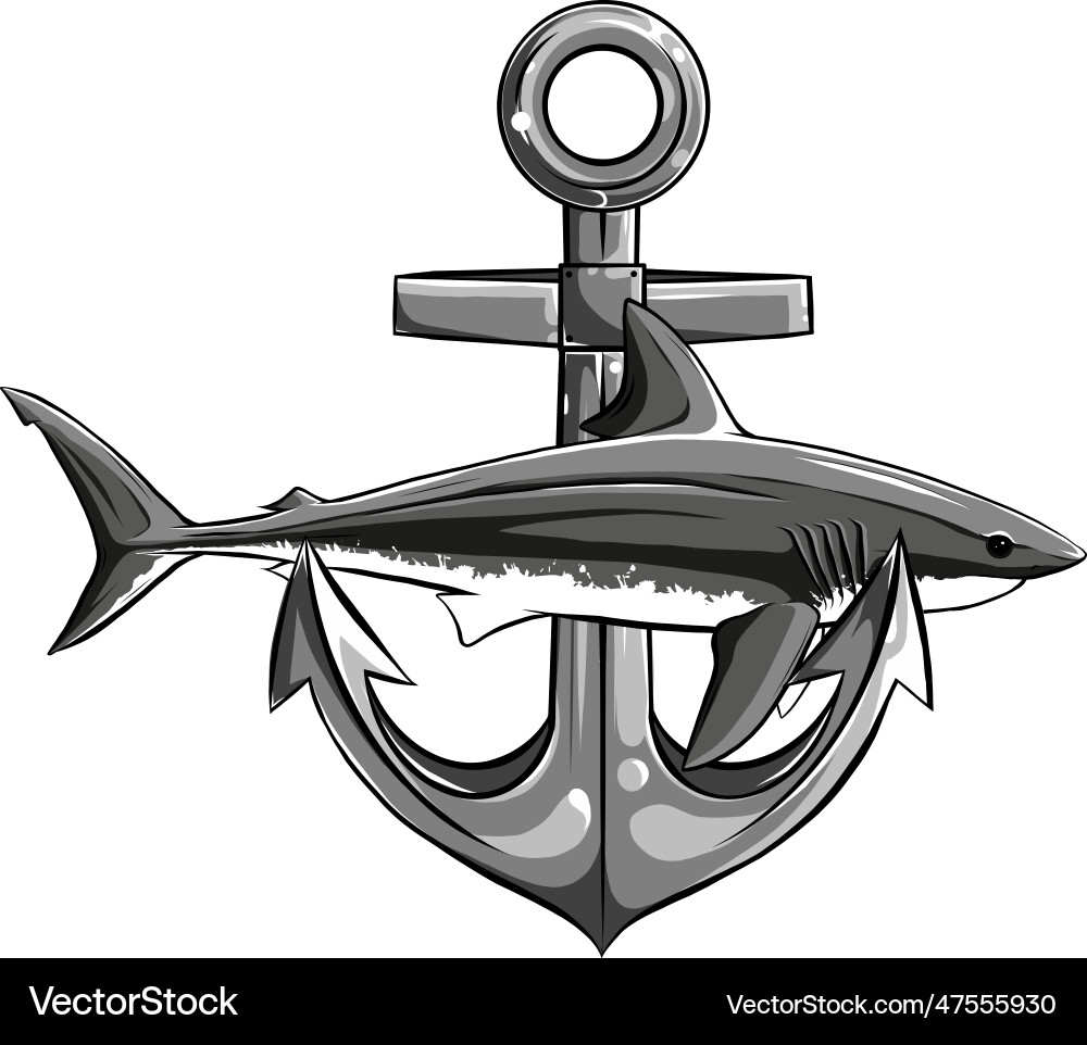 Monochrome white shark with anchor design Vector Image