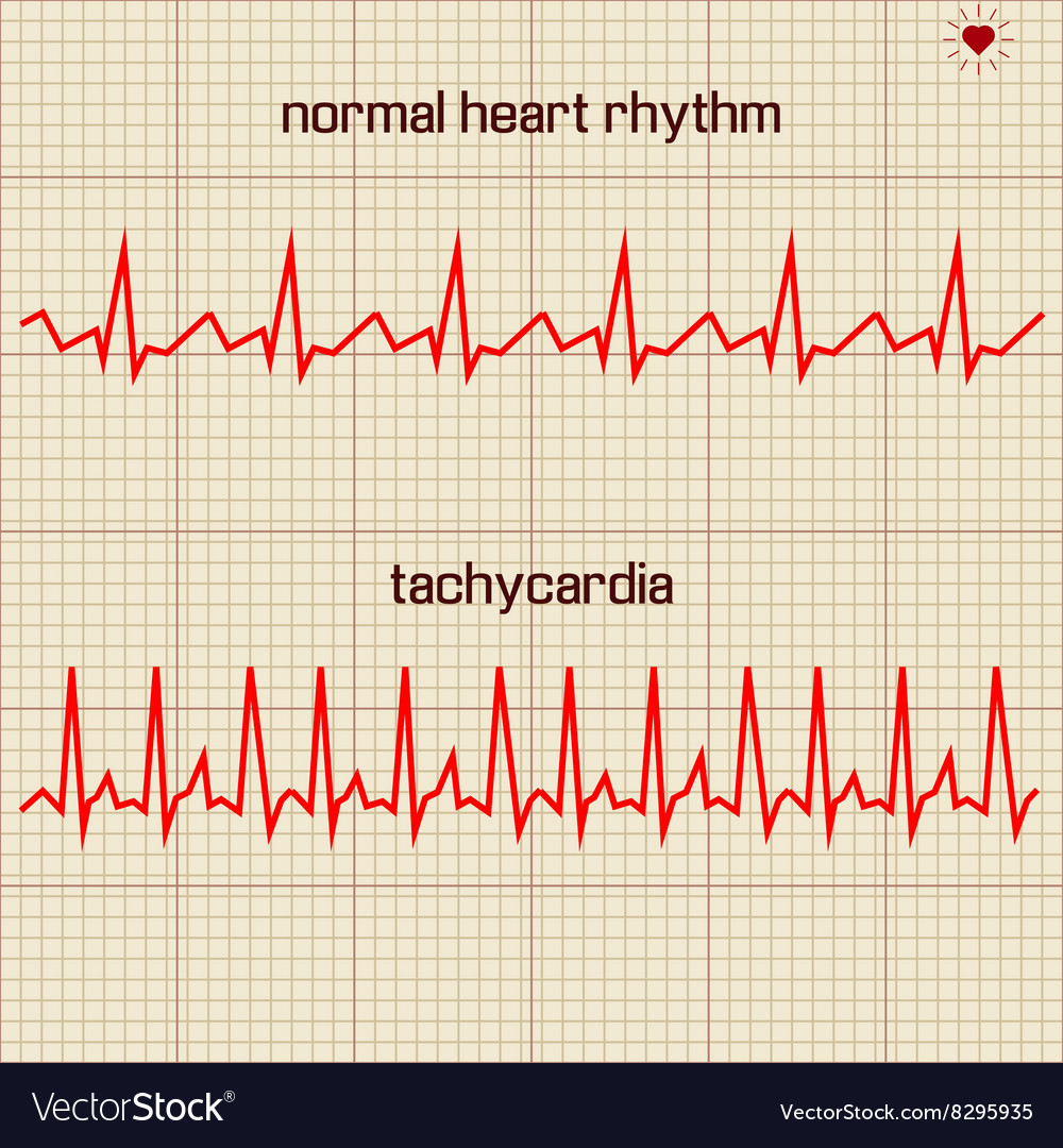 Heart beats cardiogram Royalty Free Vector Image Heart beats cardiogram Royalty Free Vector Image