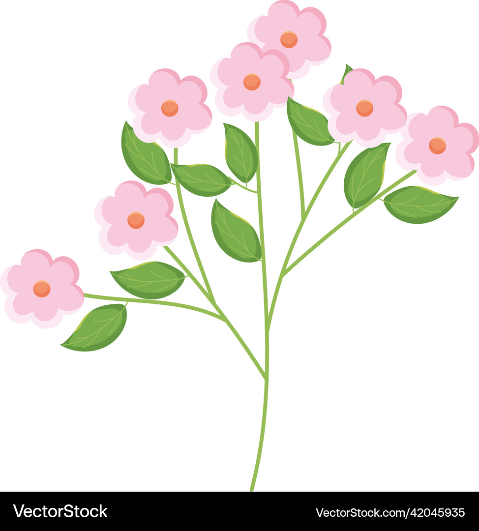 Pink flowers plant Royalty Free Vector Image - VectorStock