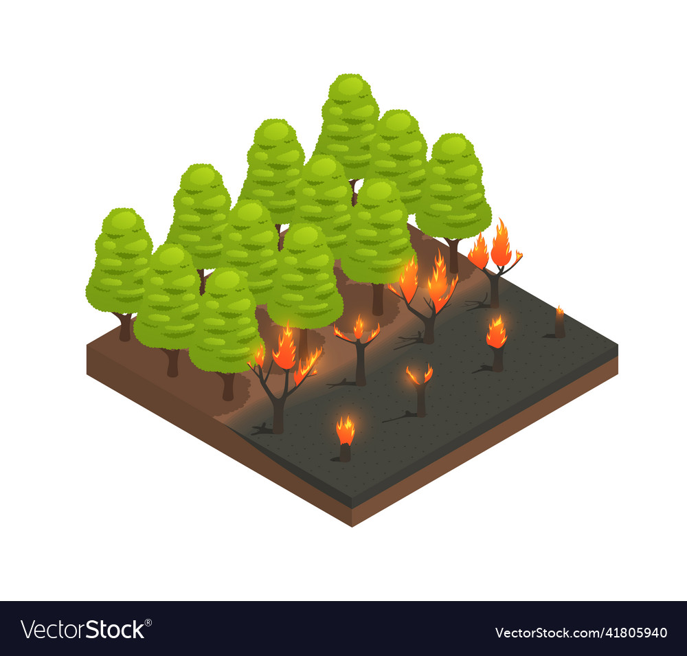 Forest fire isometric composition Royalty Free Vector Image