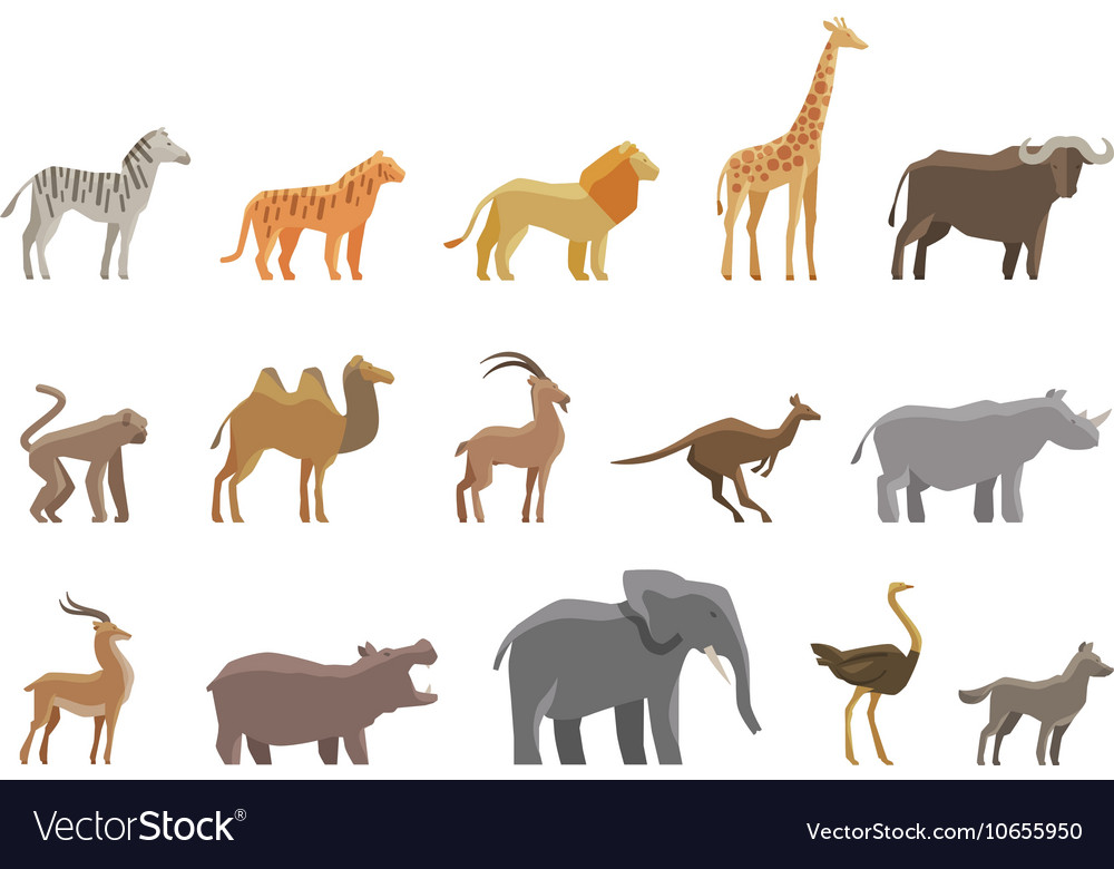 Animals set colored icons and symbols Royalty Free Vector