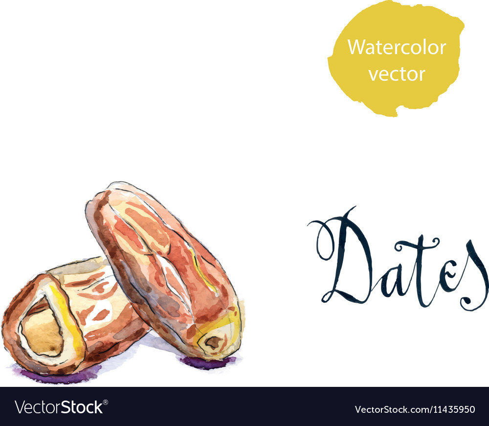 Dates Royalty Free Vector Image - VectorStock