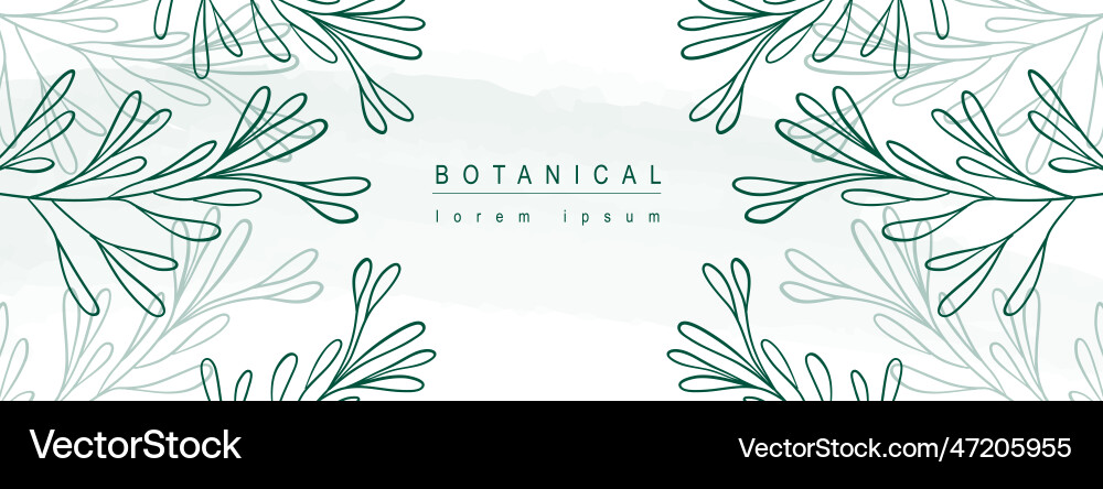 Botanical abstract background with floral line art