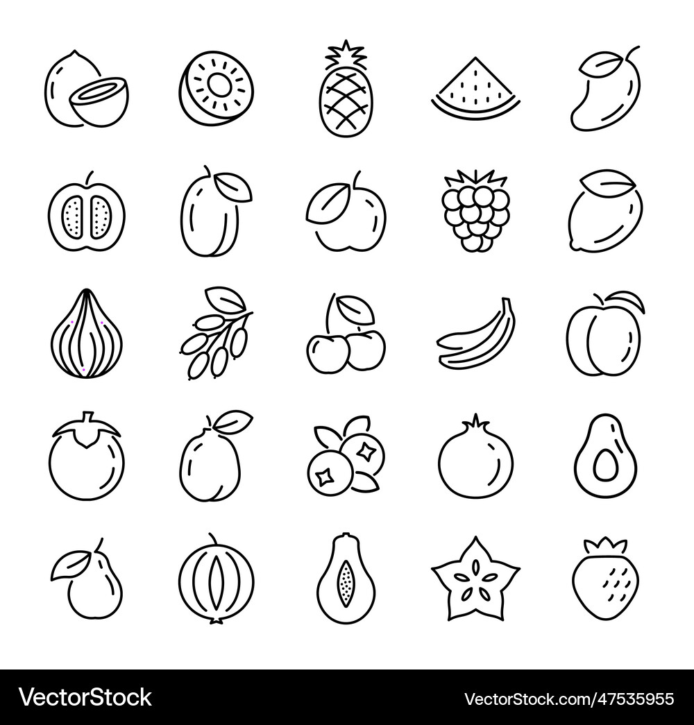 Fruit line icon isolated tropical food linear Vector Image
