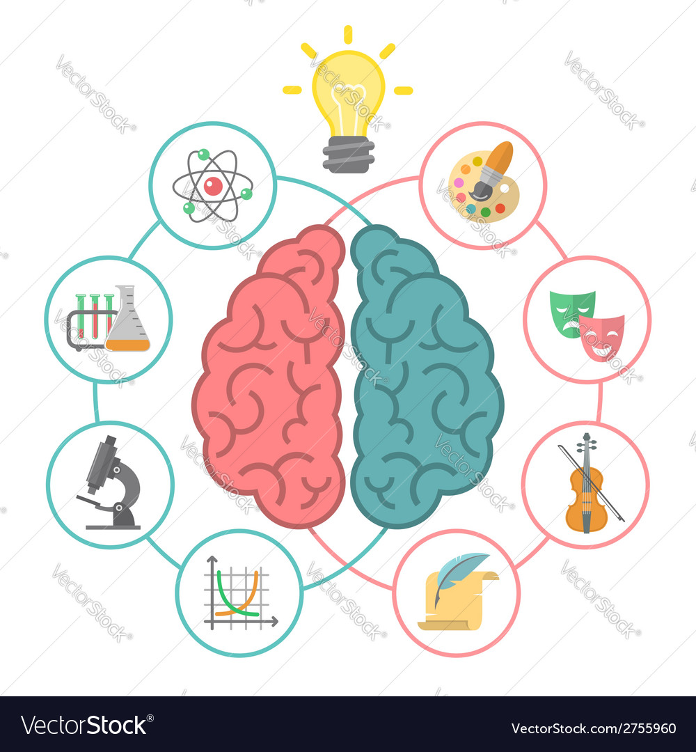 Brain concept Royalty Free Vector Image - VectorStock