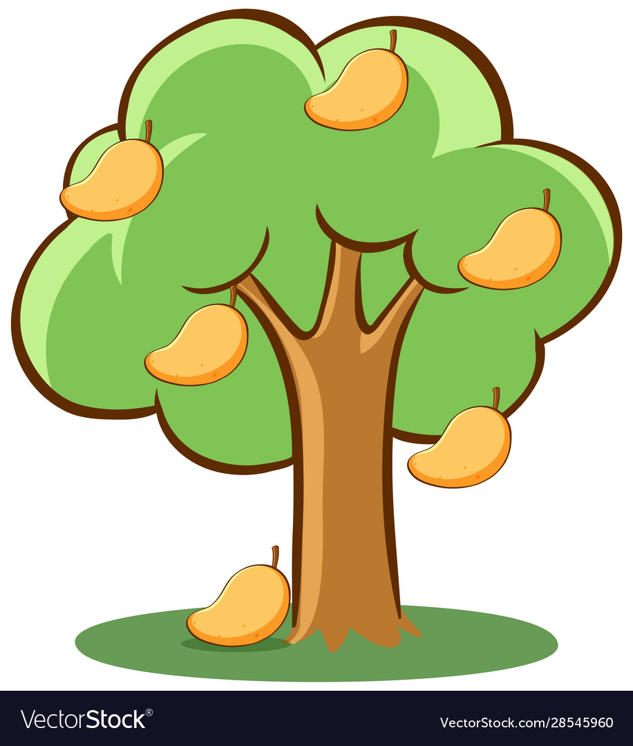 Mango Tree On White Background Royalty Free Vector Image