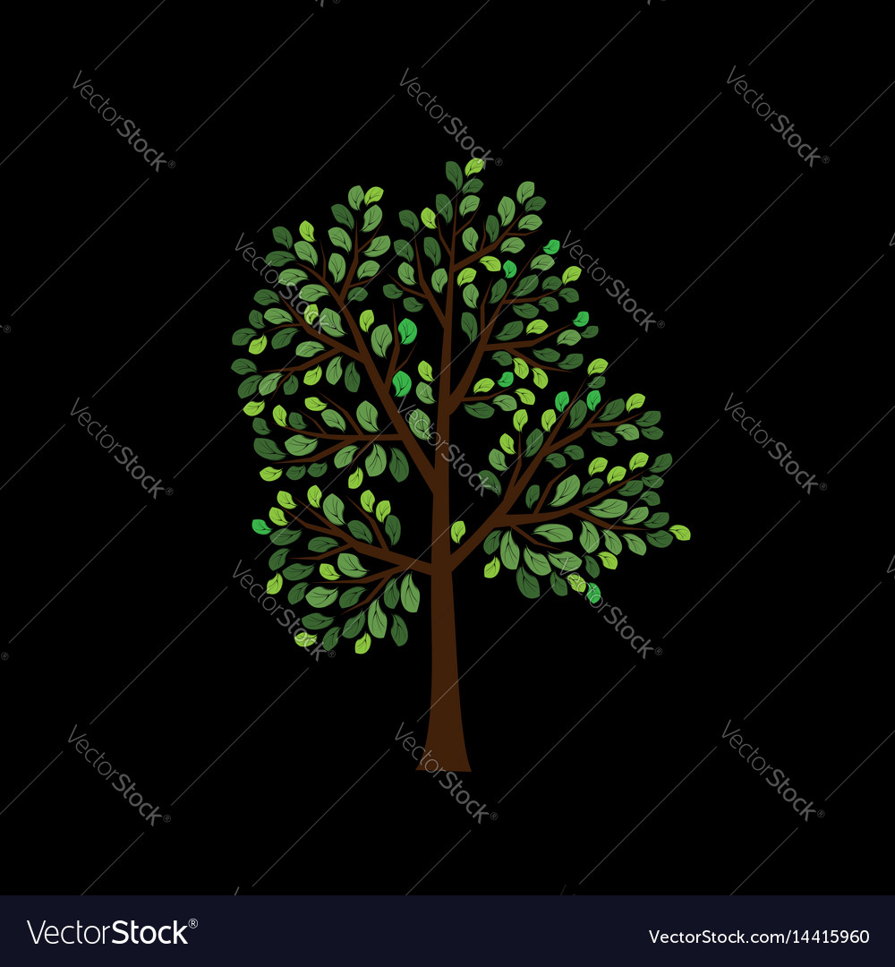 Tree Royalty Free Vector Image - VectorStock