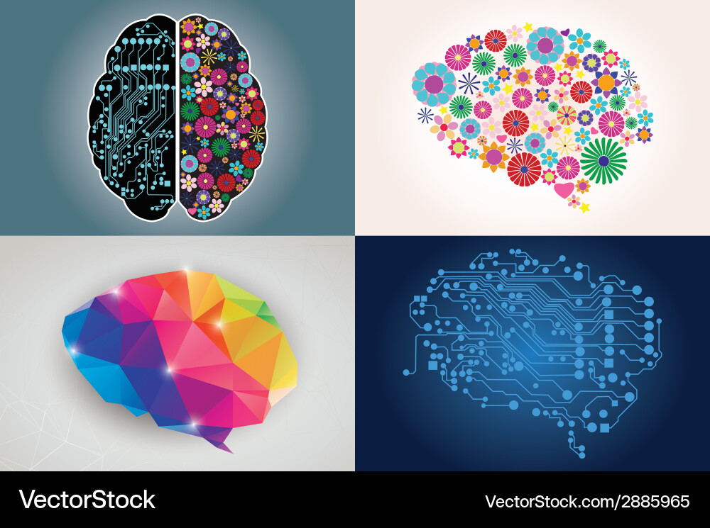 Collections of four different human brains left Vector Image