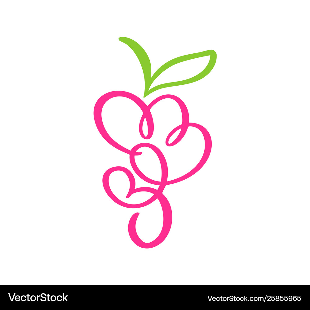 Hand drawn bunch grapes outline doodle Royalty Free Vector