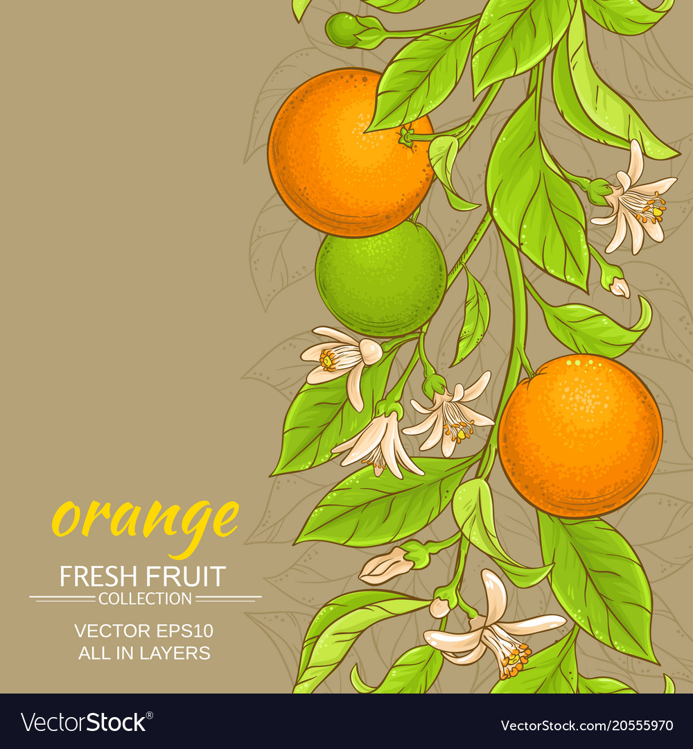 Orange background Royalty Free Vector Image - VectorStock